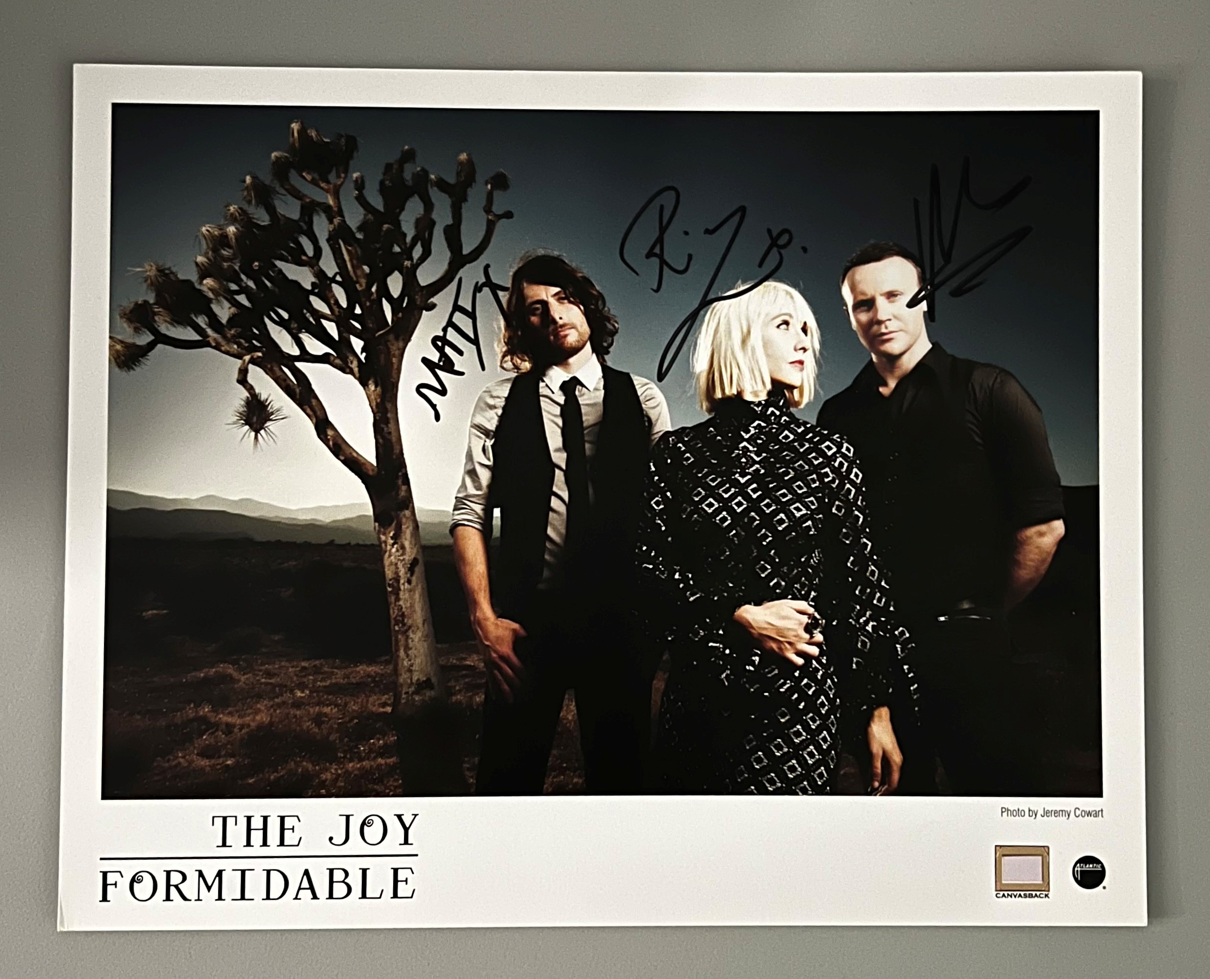 The Joy Formidable - 89.7 The River